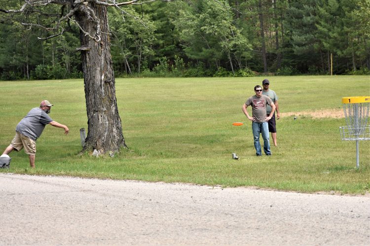 Disc golf course opens at Norway Lake Park in Felch Township | News ...